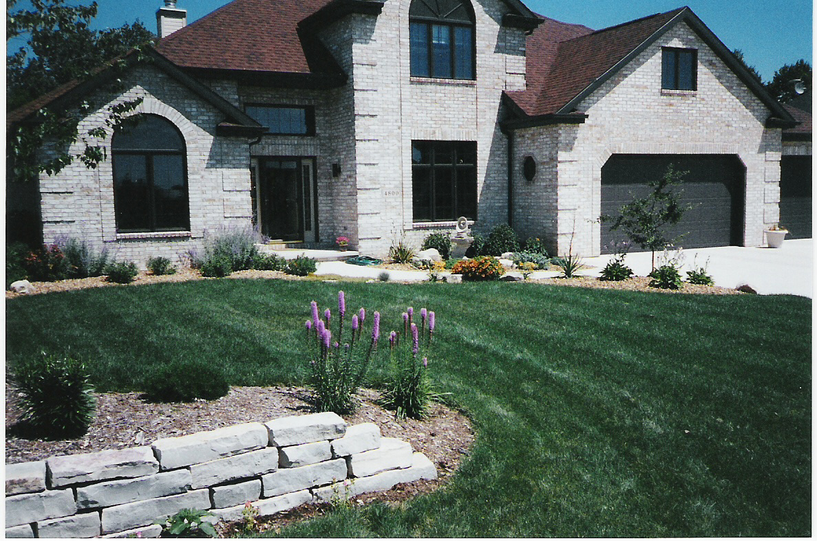 Desertscape Landscaping